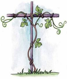 PARÓQUIA SÃO FRANCISCO DE ASSIS - Anicuns/Go: Jesus é a videira, nós os ...